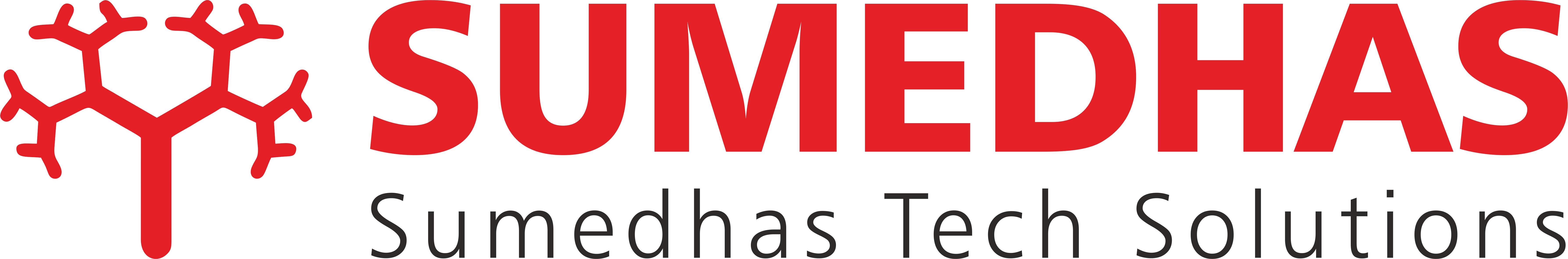 Reverse Engineering Sumedhas Tech Solutions Pvt Ltd